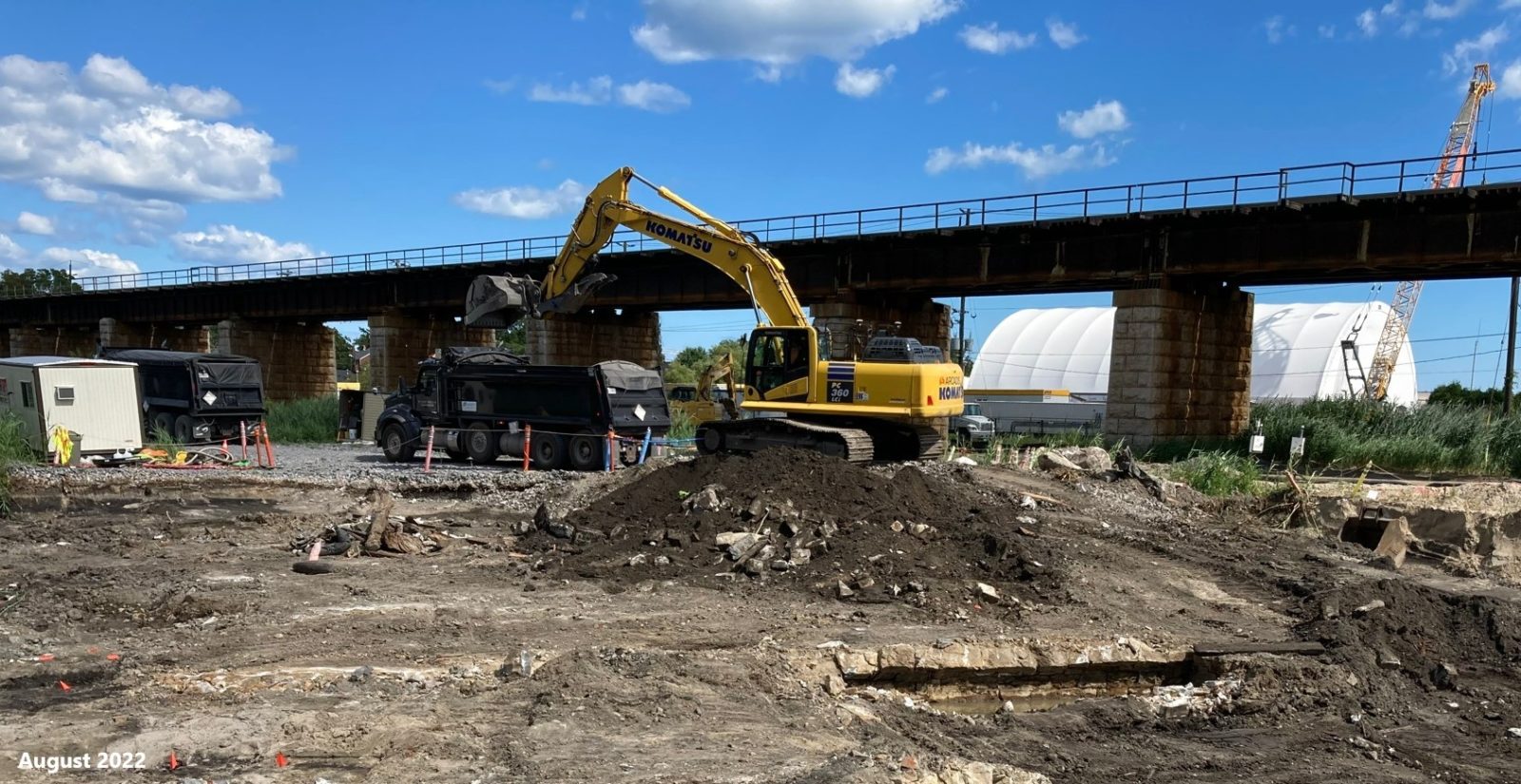 PHAI Licence Renewal: Update - PHAI