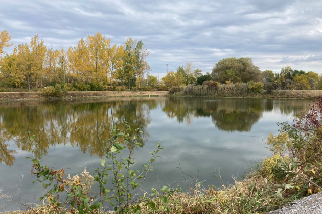 Chemetron – Painting a Lagoon - PHAI