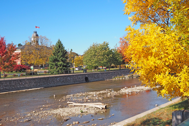 New PHAI activities planned for fall - PHAI